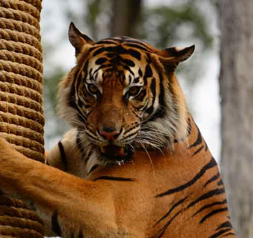 Don't fall prey to the Stress Cascade - Healthy Anywhere