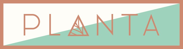 The best *real* plant-based burgers in restaurants right now